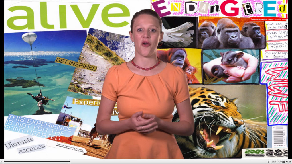 Too Many Cheeky Dogs - ARTS:LIVE